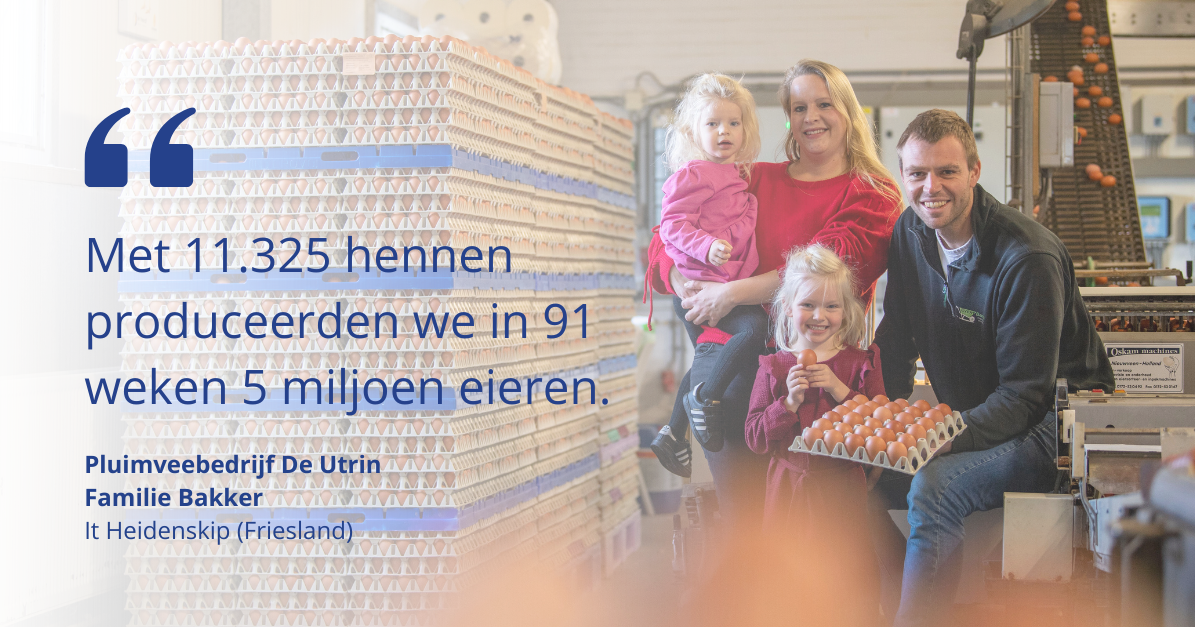 Met Lohmann Brown Classic naar ‘all time high’ aantal eieren - Ter Heerdt